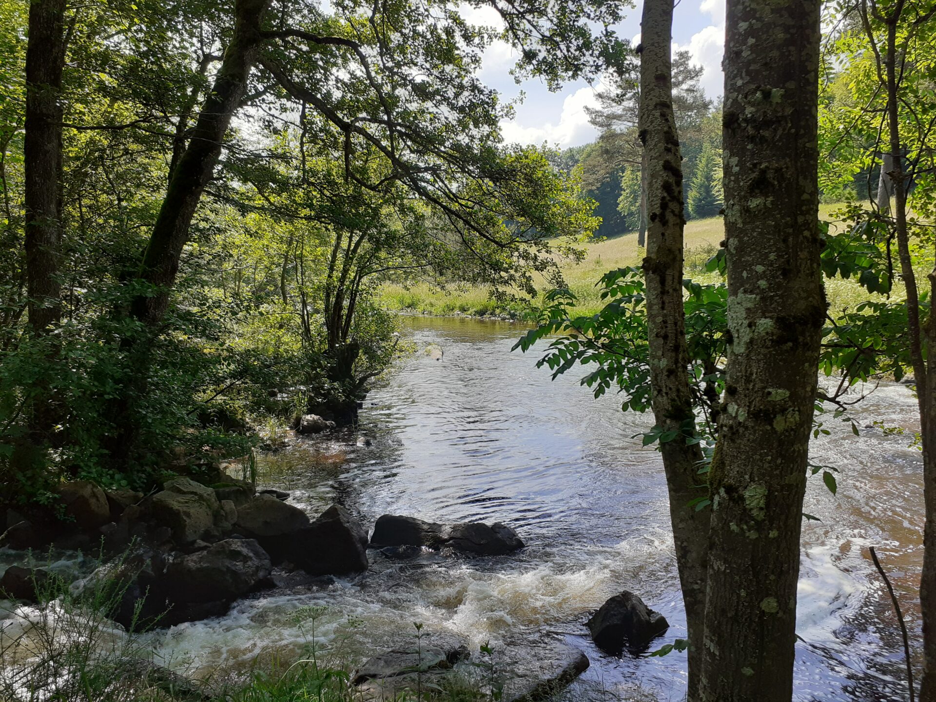 RDV BIOTRESORS : Balade nature opportuniste - Destination Parc naturel ...
